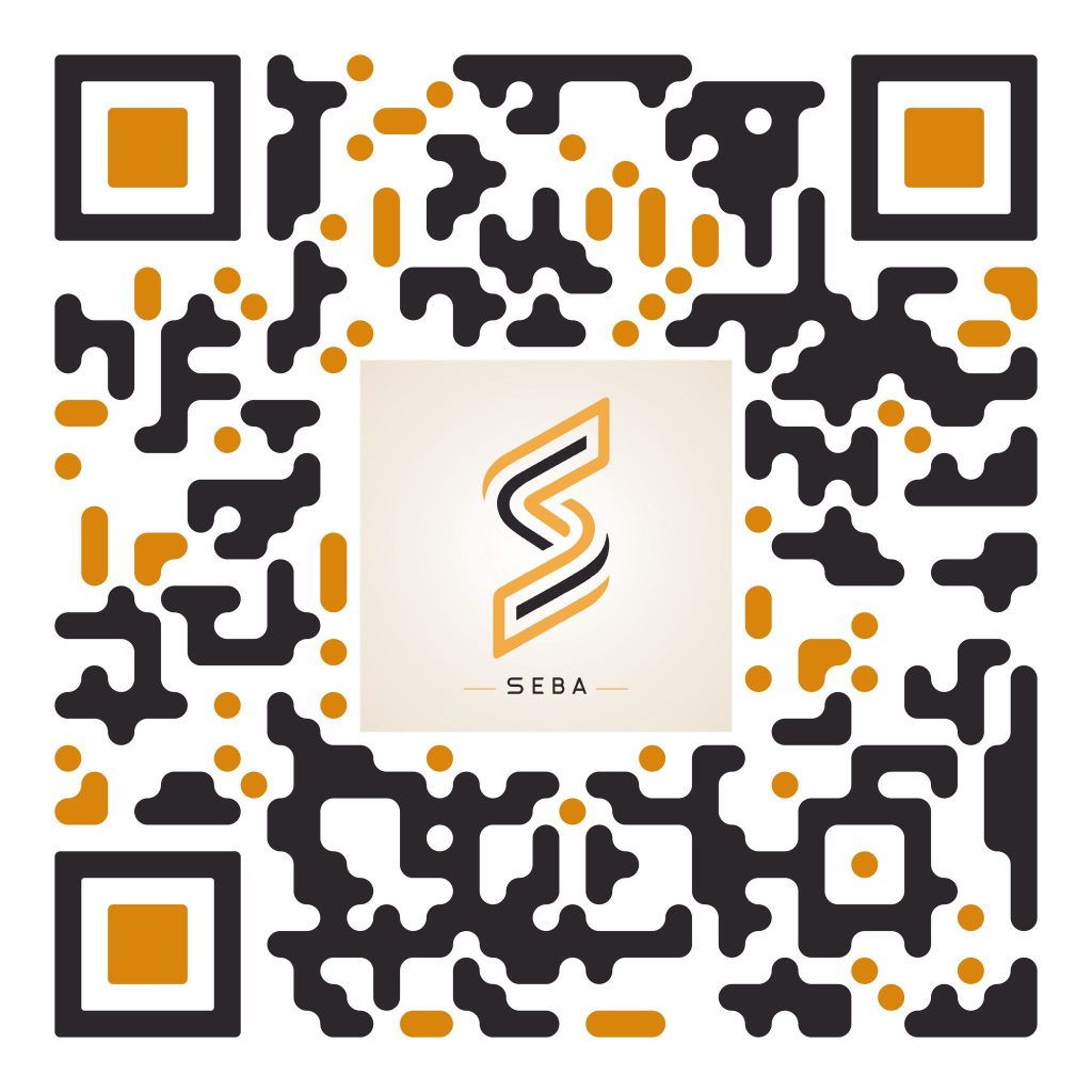 Pakistan flag Phone Case for iphone 13 pro max – Seba Market